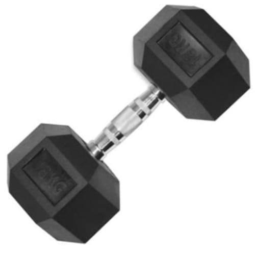 Jual [GYM] Dumbell hexagonal 18kg | Shopee Indonesia