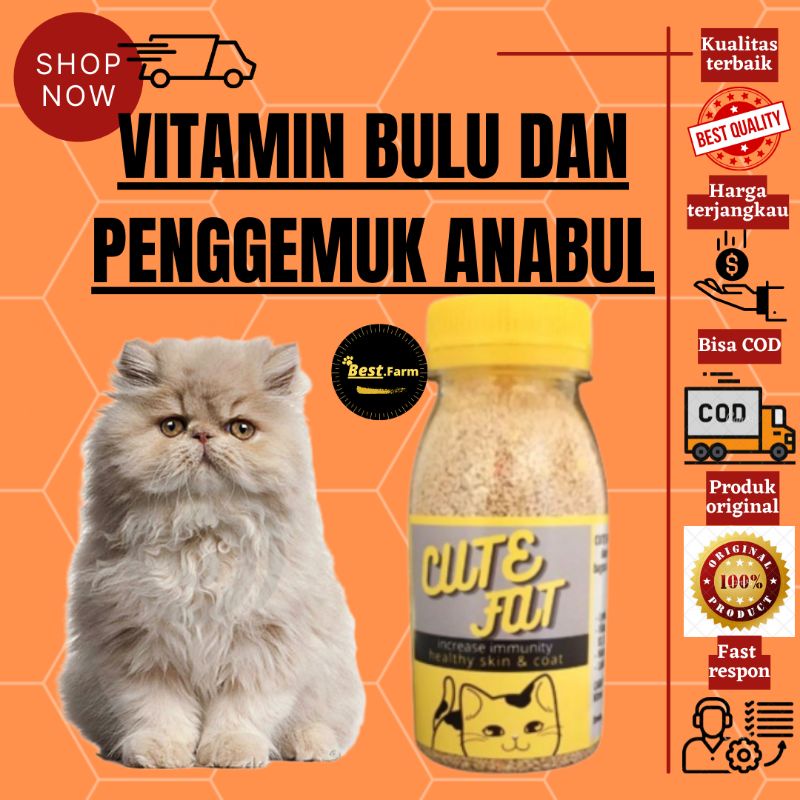 Jual CUTE FAT VITAMIN BULU DAN PENGGEMUK ANABUL penumbuh bulu dan ...