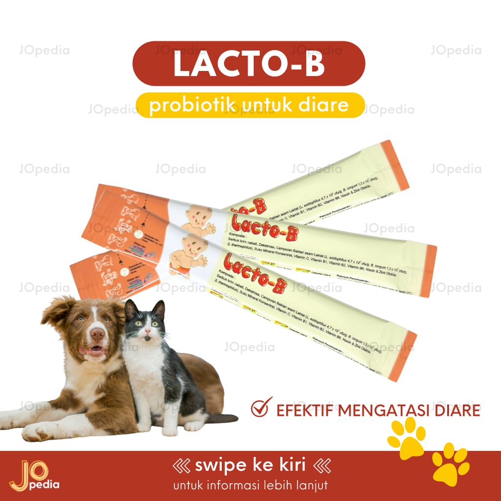 Jual LACTO B Probiotik Obat Diare Mencret Muntah Kucing Anjing Kelinci ...
