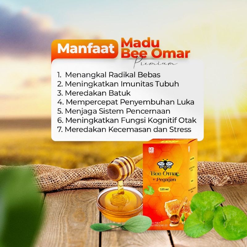 Jual MADU BEE OMAR MADU QUSTUL HINDI ORIGINAL OSB | Shopee Indonesia