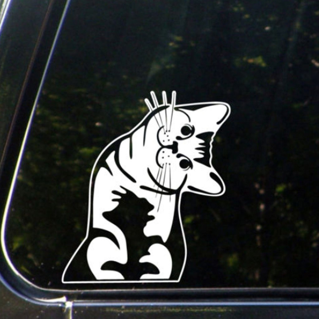 Jual STIKER MOBIL KUCING MIRING terbaru lucu | Shopee Indonesia