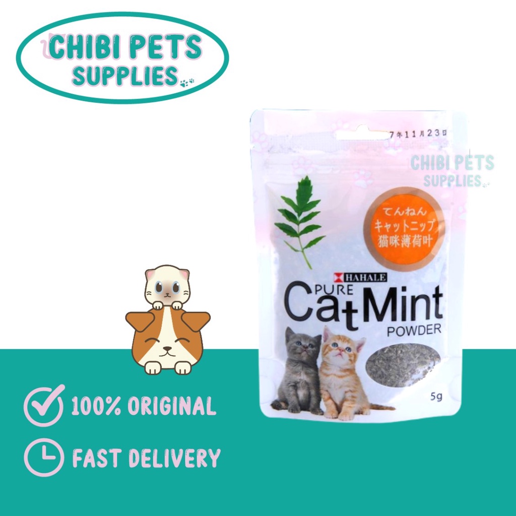 Jual CAT MINT Catnip Powder Bubuk 5 gram / Snack Kucing Catnip | Shopee ...