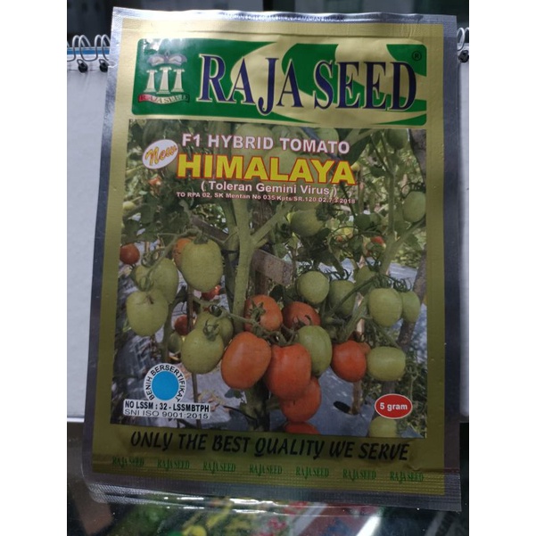 Jual benih tomat HIMALAYA raja seed 5gr | Shopee Indonesia