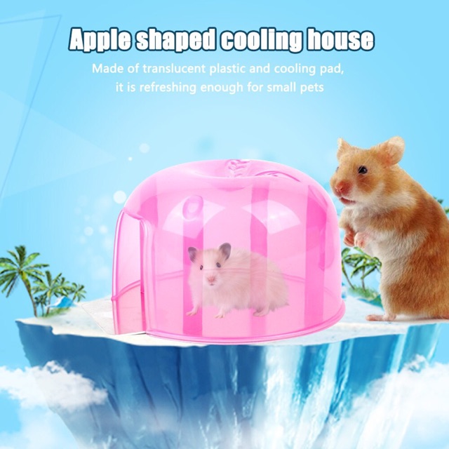 Jual Rumah hamster (COOLING HOUSE) | Shopee Indonesia