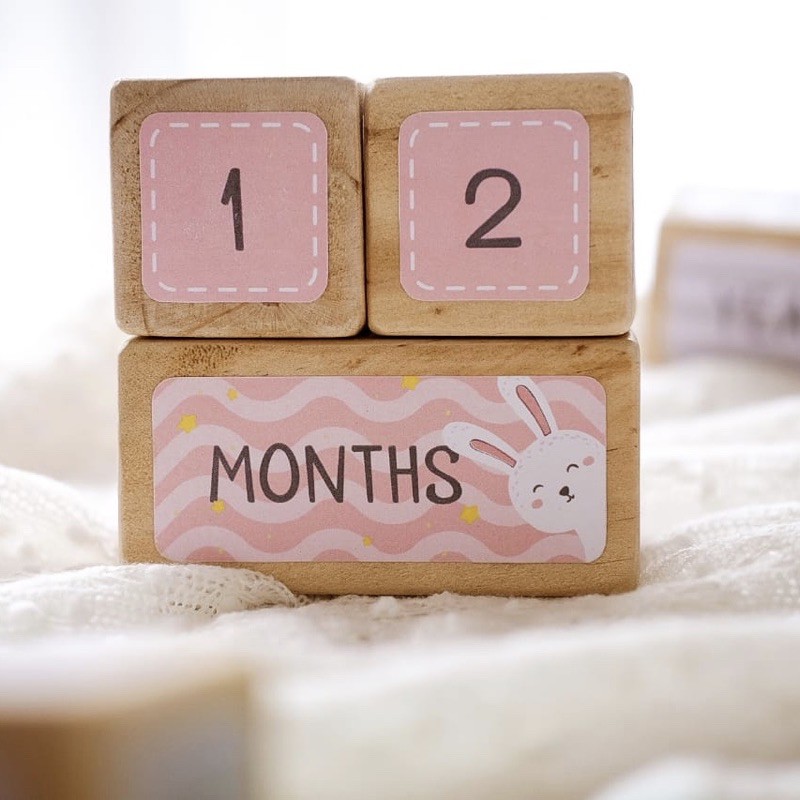 Jual PLAY AND REPLAY - Baby and Pregnancy Wooden Milestones - Kalender ...