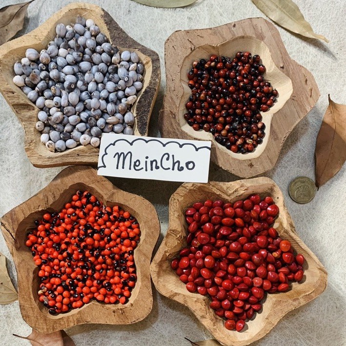 Jual (1kg/3500biji) Kolase Biji Saga Merah Hitam Pohon Saga Telik Jali ...