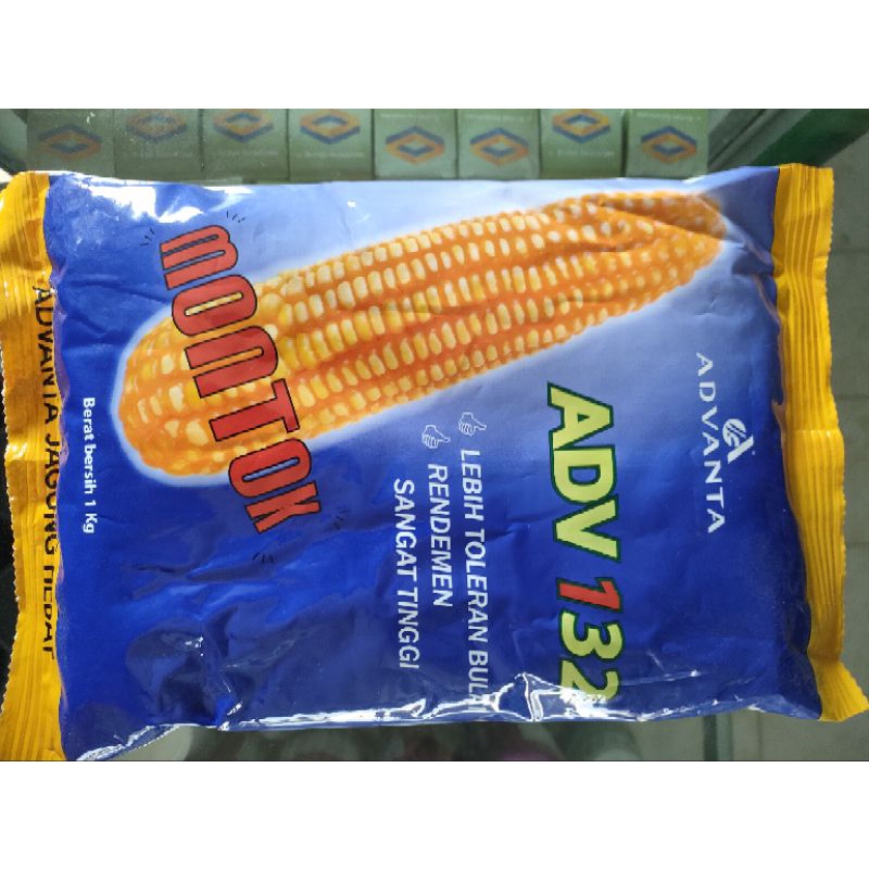 Jual benih jagung adv 132 montok 1kg | Shopee Indonesia
