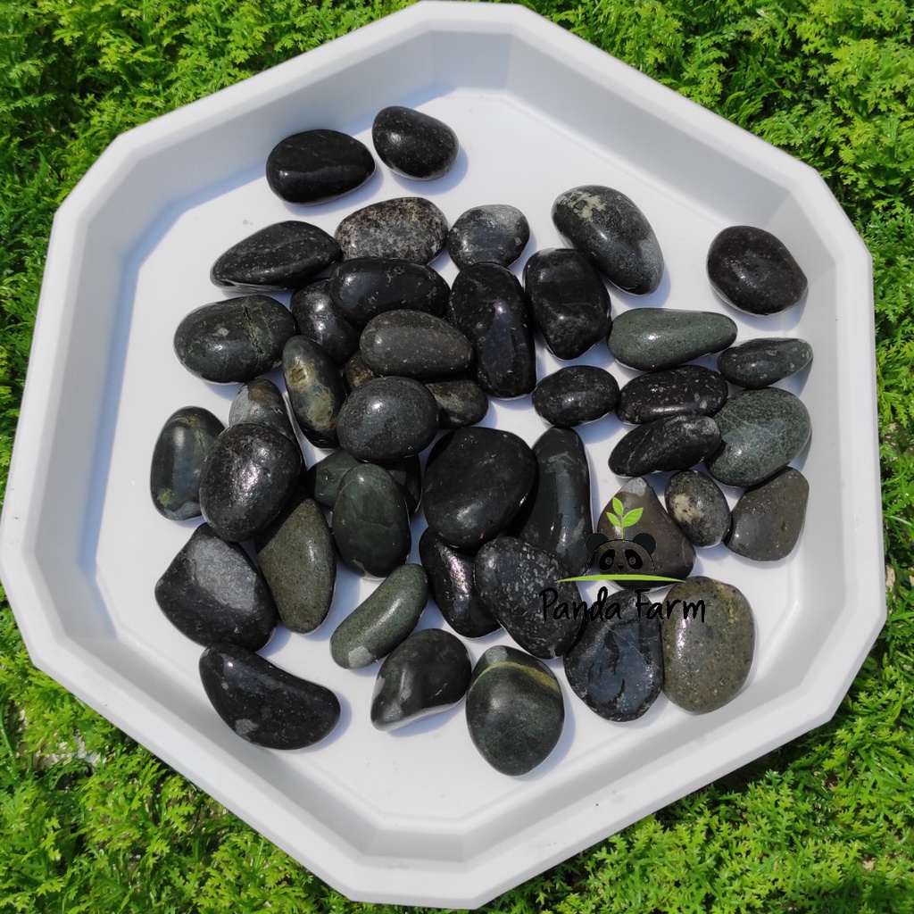 Jual Batu Alam Koral Tabur Kerikil Hias Hitam Bengkulu - 1 Kg | Shopee ...