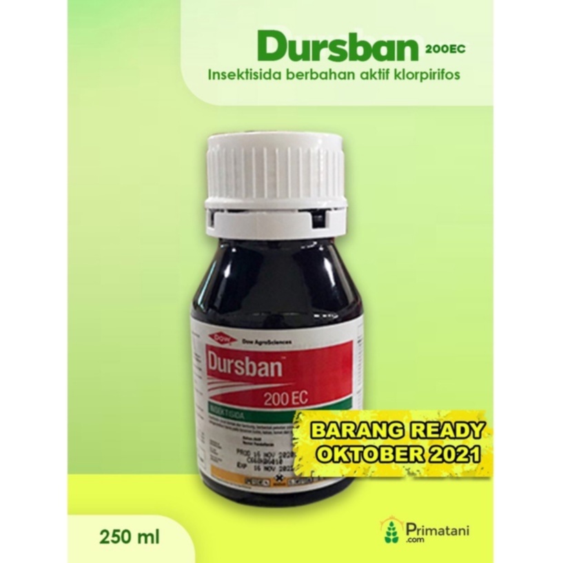 Jual Insektisida Dursban 200 EC 250ml High Quality | Shopee Indonesia