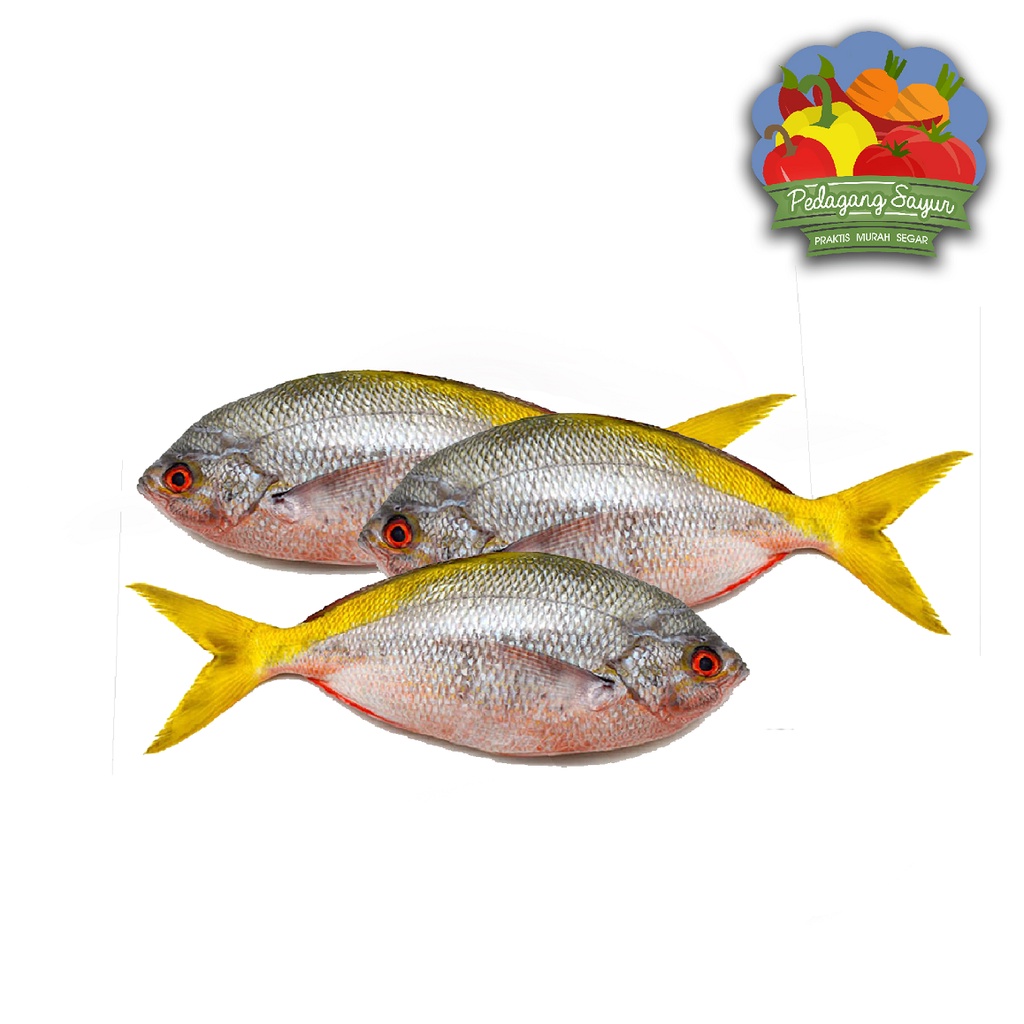 Jual Ikan Ekor Kuning Segar - 500 Gram | Shopee Indonesia