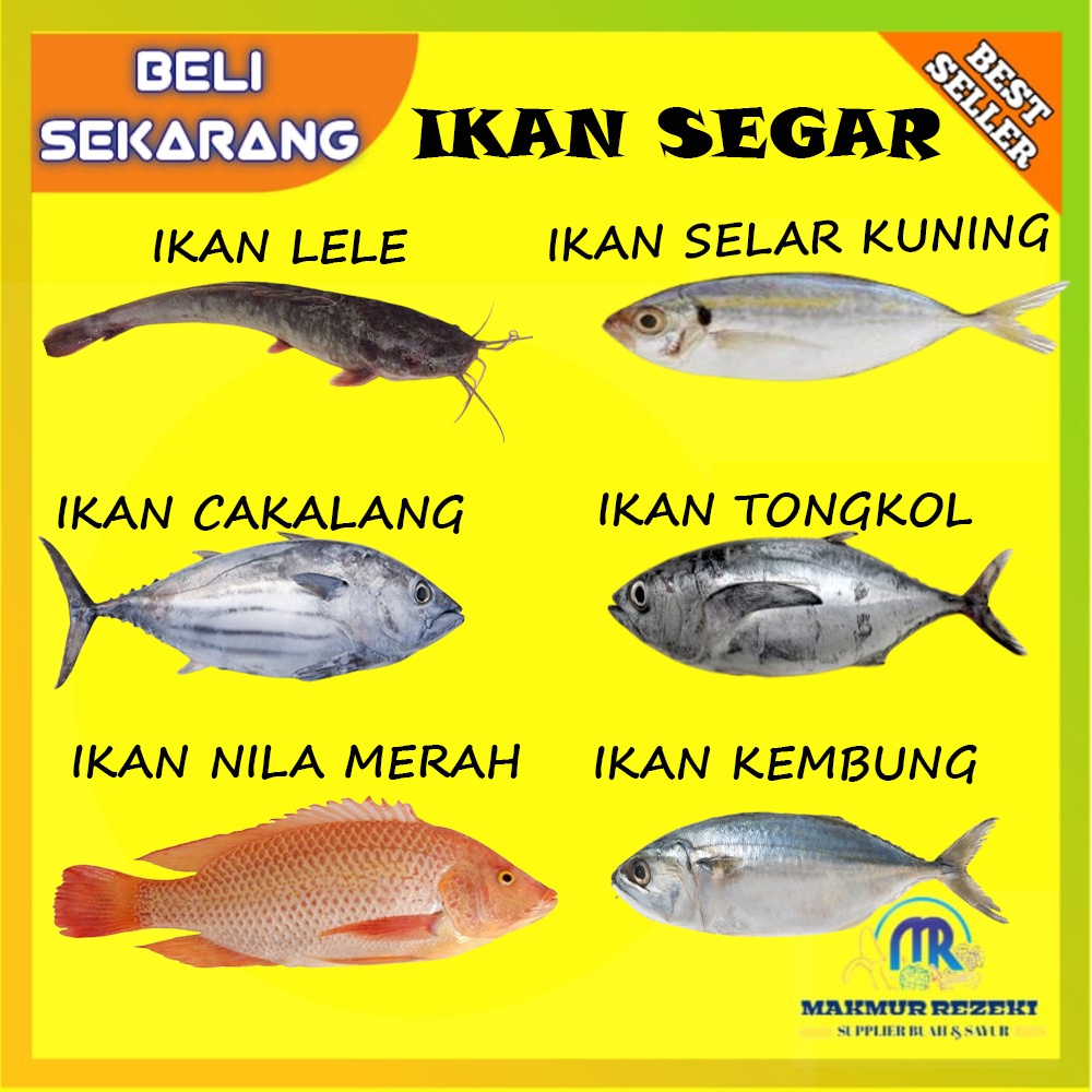 Jual IKAN TONGKOL / IKAN KEMBUNG / IKAN LELE / IKAN CAKALANG / IKAN ...
