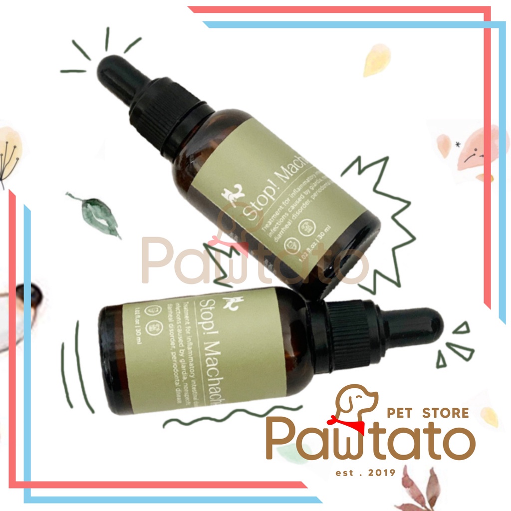 Jual Obat Sakit Perut Anjing Head to Tail Stop Machache Puppy Dog Diare ...