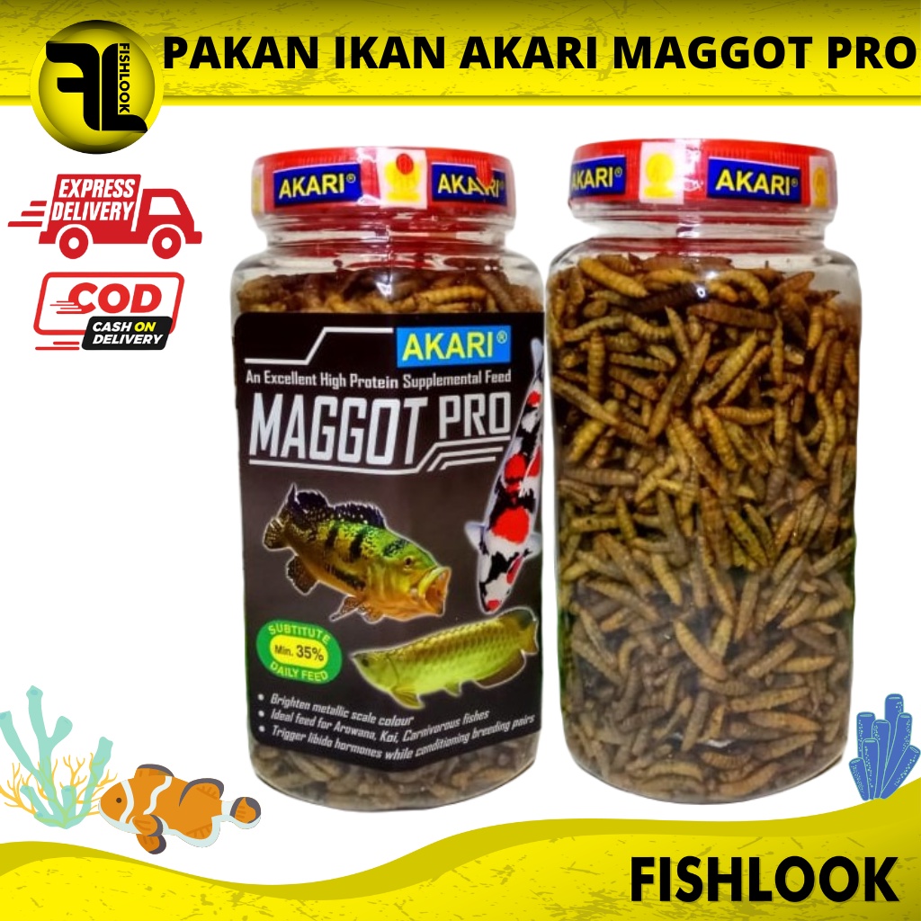 Jual AKARI MAGGOT MAGOT PRO MAKANAN IKAN LOUHAN AROWANA OSCAR ULAT ...