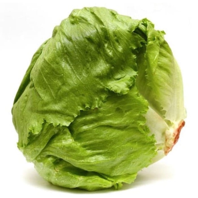 Jual Lettuce Head lettuce ( selada bulat ) 250gr letus salada | Shopee ...