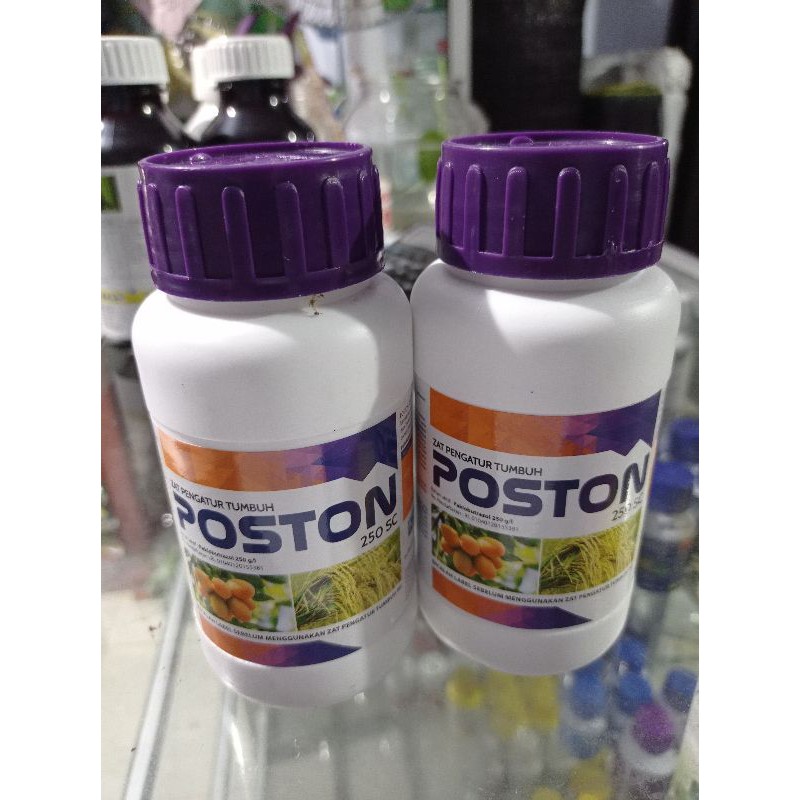 Jual POSTON 250 SC Paklobutrazol 250 ml | Shopee Indonesia