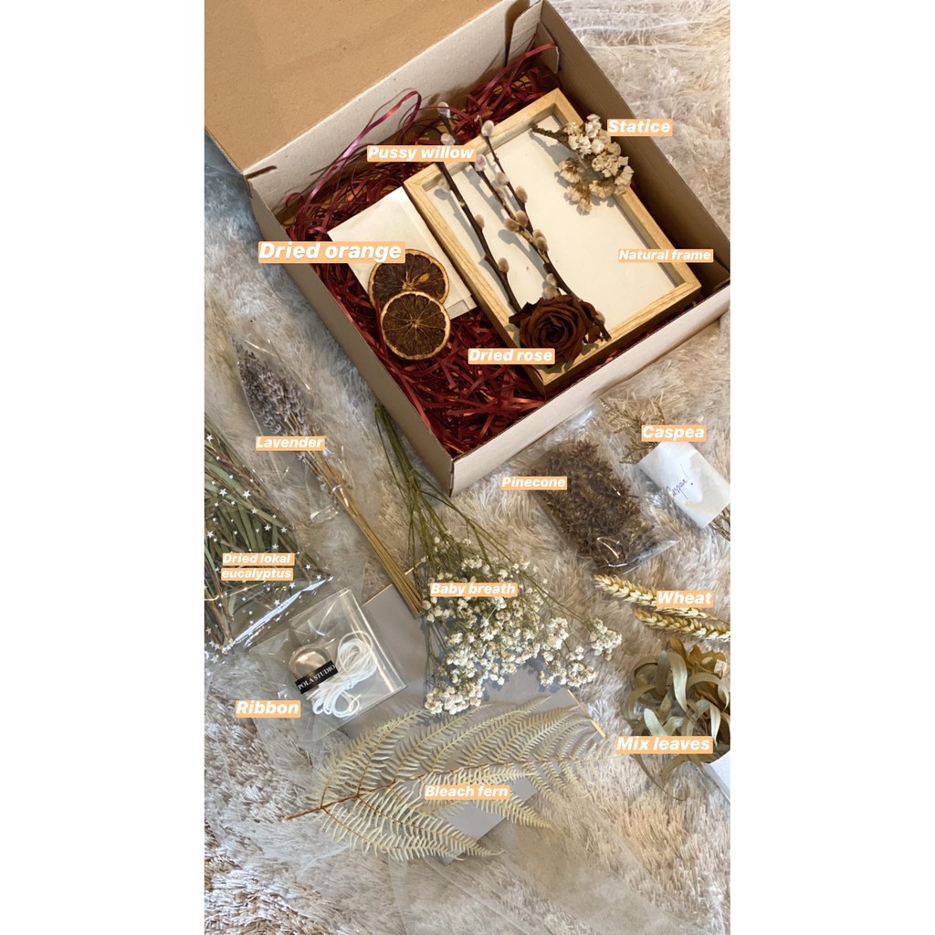 Jual POLA Creative Kit | Shopee Indonesia