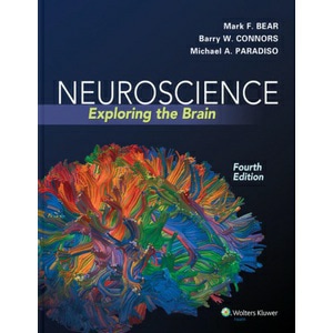 Jual Neuroscience: Exploring the Brain | Shopee Indonesia