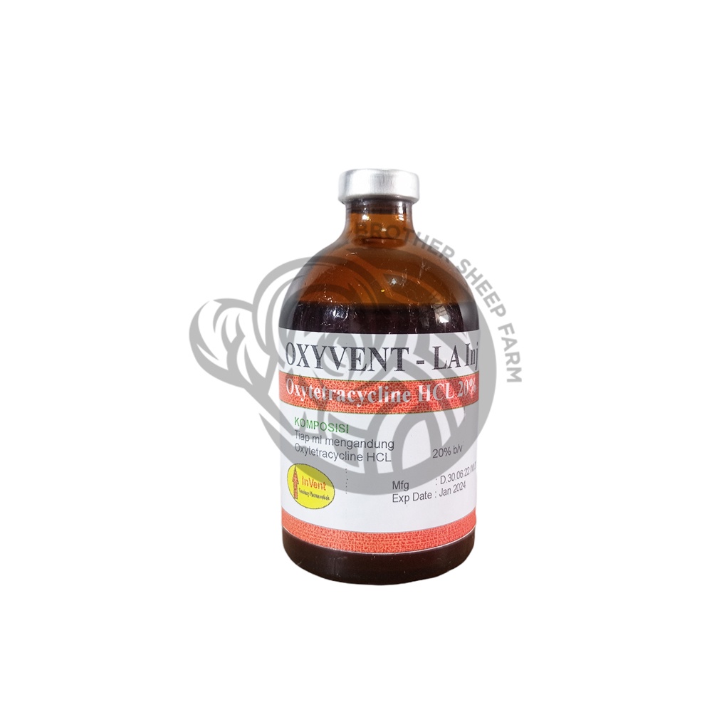 Jual OXYVENT LA Antibiotik PMK Hewan Tenak Ayam Bebek Domba Kambing ...