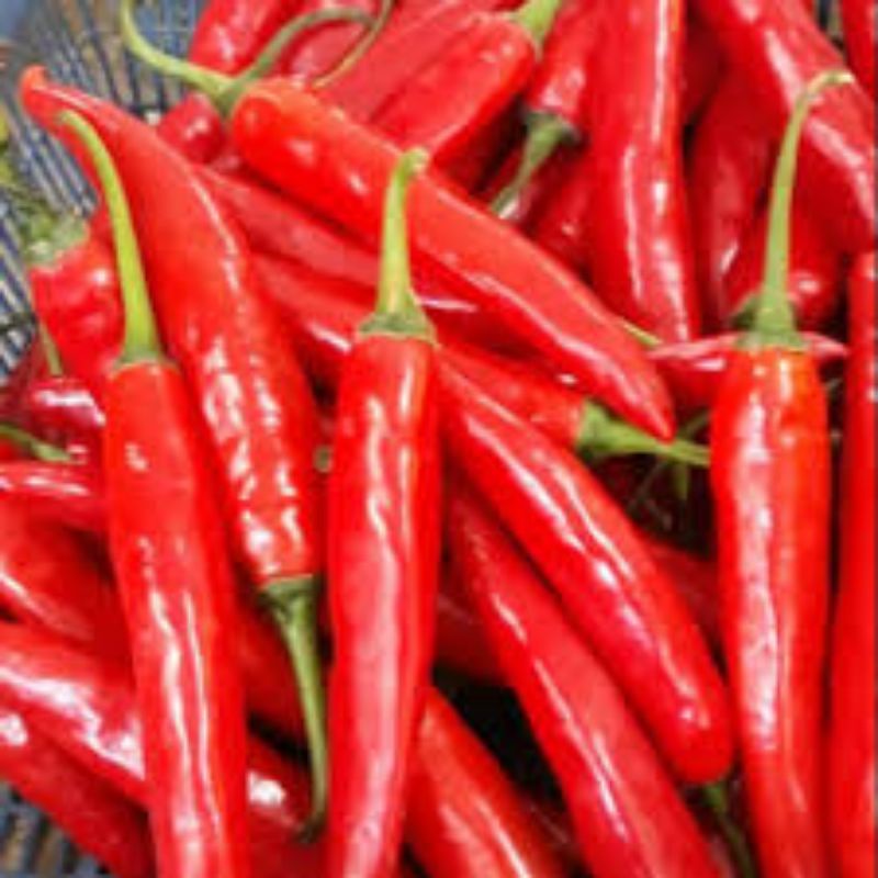 Jual CABAI MERAH GENDUT 100gr | Shopee Indonesia