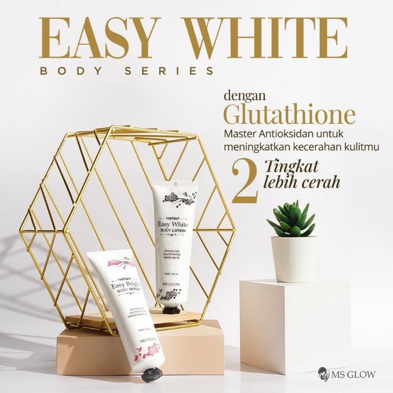 Jual EASY WHITE BODY SERIES MS GLOW / PAKET BODY MSGLOW | Shopee Indonesia