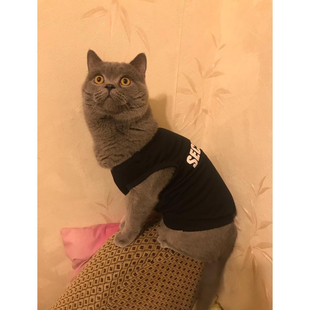 Jual Pakaian Kucing//Baju Kucing/ Pakaian Kostum Anjing Kucing Security ...
