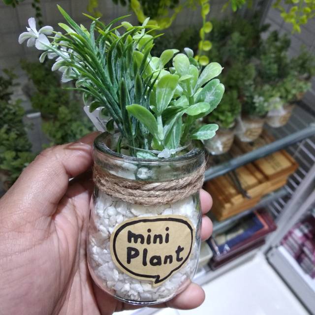 Jual Mini plant | Shopee Indonesia
