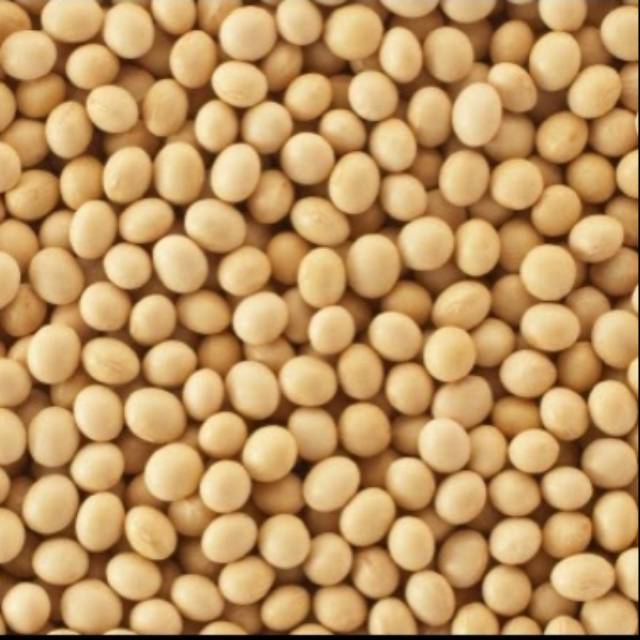 Jual Kedelai lokal 1kg | Shopee Indonesia