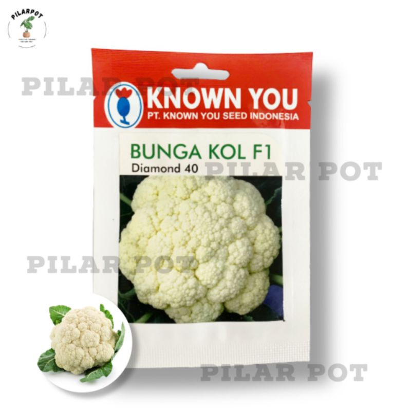 Jual benih bibit BUNGA KOL F1 DIAMOND 40 known you seed - KYS BUNGA KOL ...