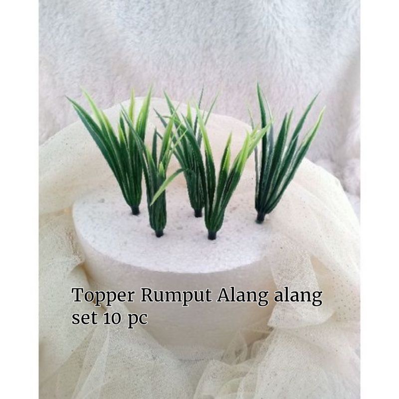 Jual Cake Topper rumput alang - alang set 10pc | Shopee Indonesia