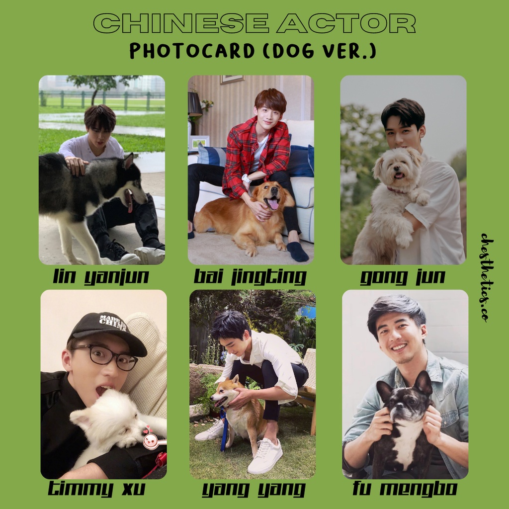 Jual Aktor China Actor Dog Ver. Photocard (Lin Yanjun Bai Jingting Gong ...