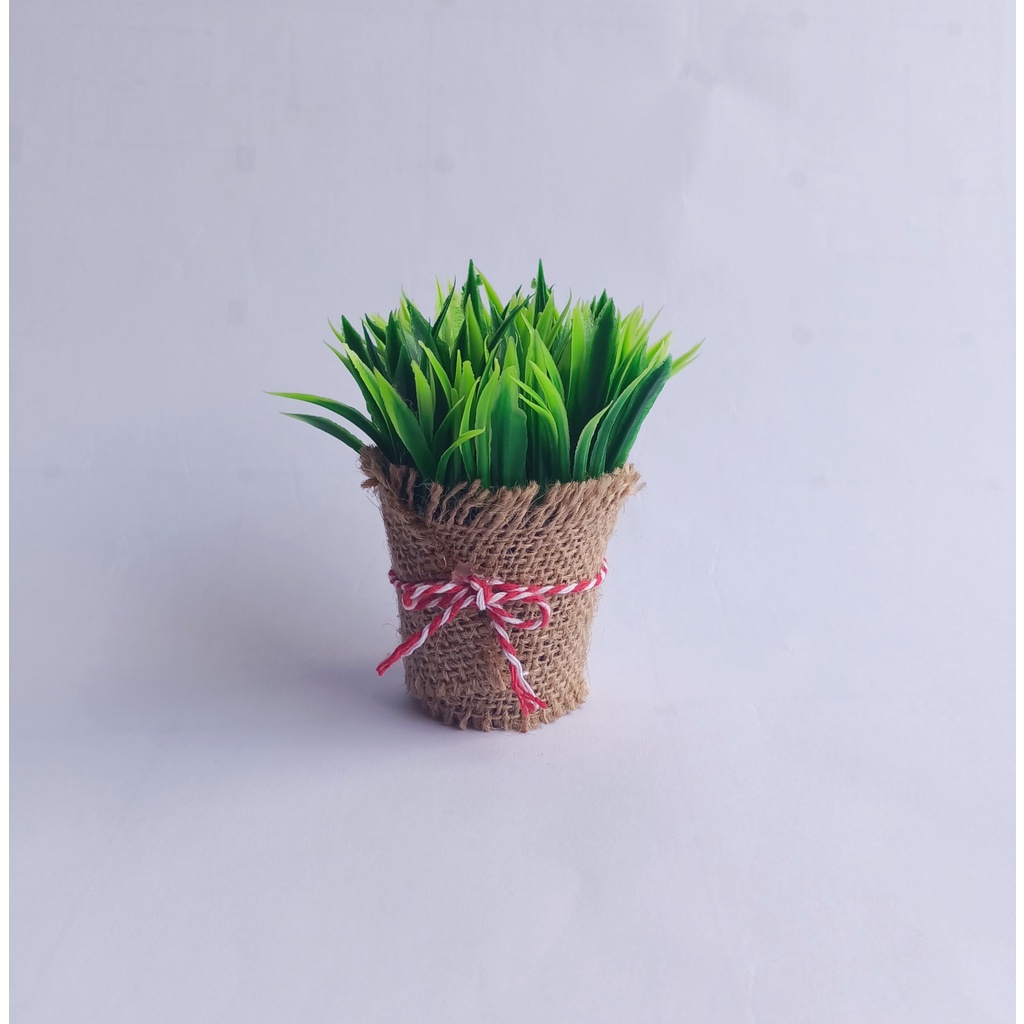 Jual Artificial Bunga Tanaman Pot Kain Goni Mini Daun Rumput Souvenir ...