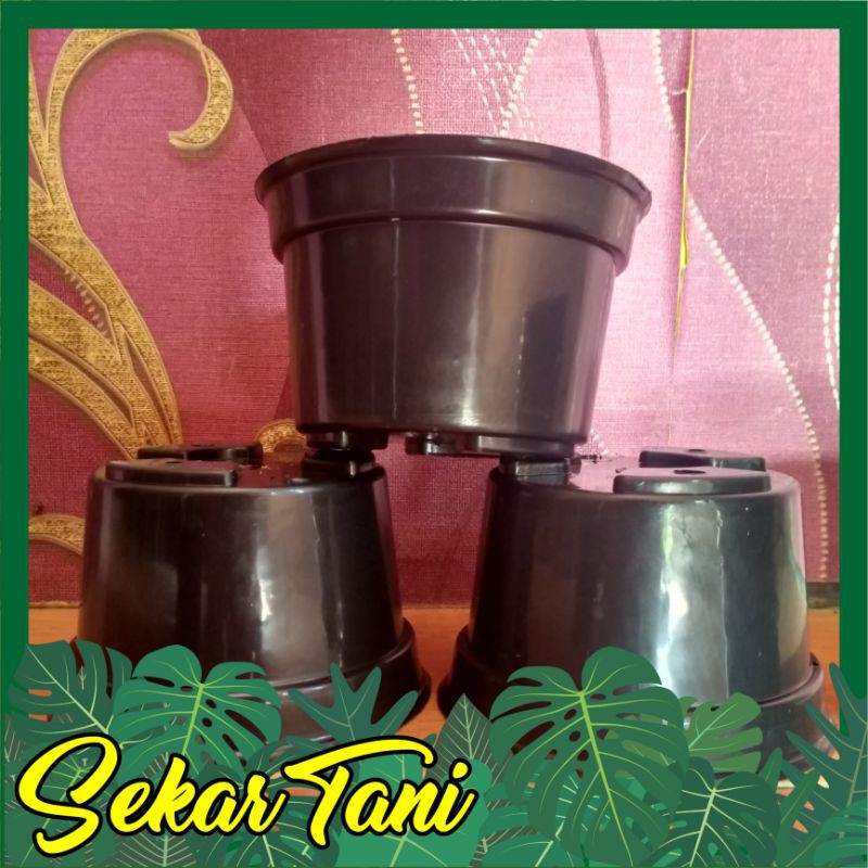 Jual Pot plastik ukuran 15 cm | Shopee Indonesia