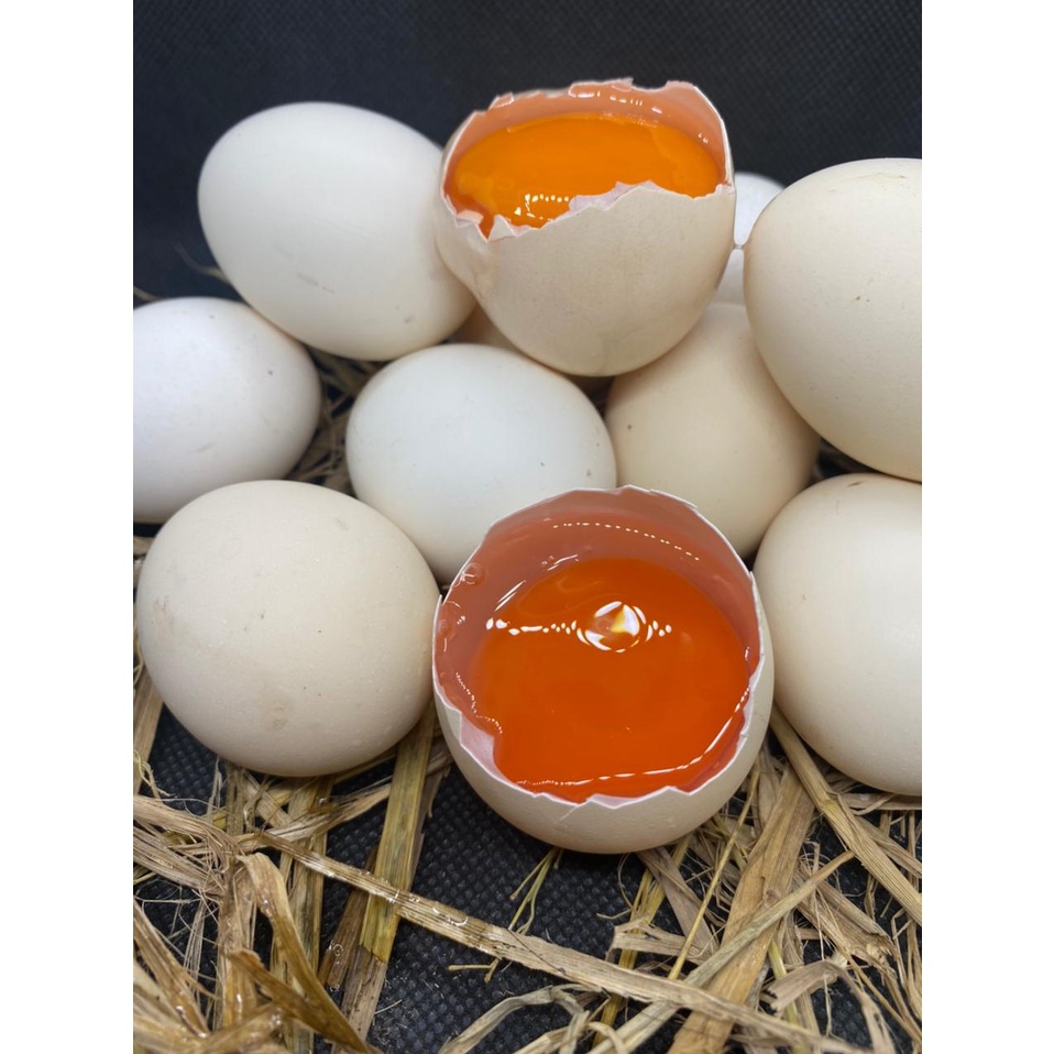 Jual Telur Bebek Tawar / Asin Mentah dan Telur Ayam Negeri Kampung ...