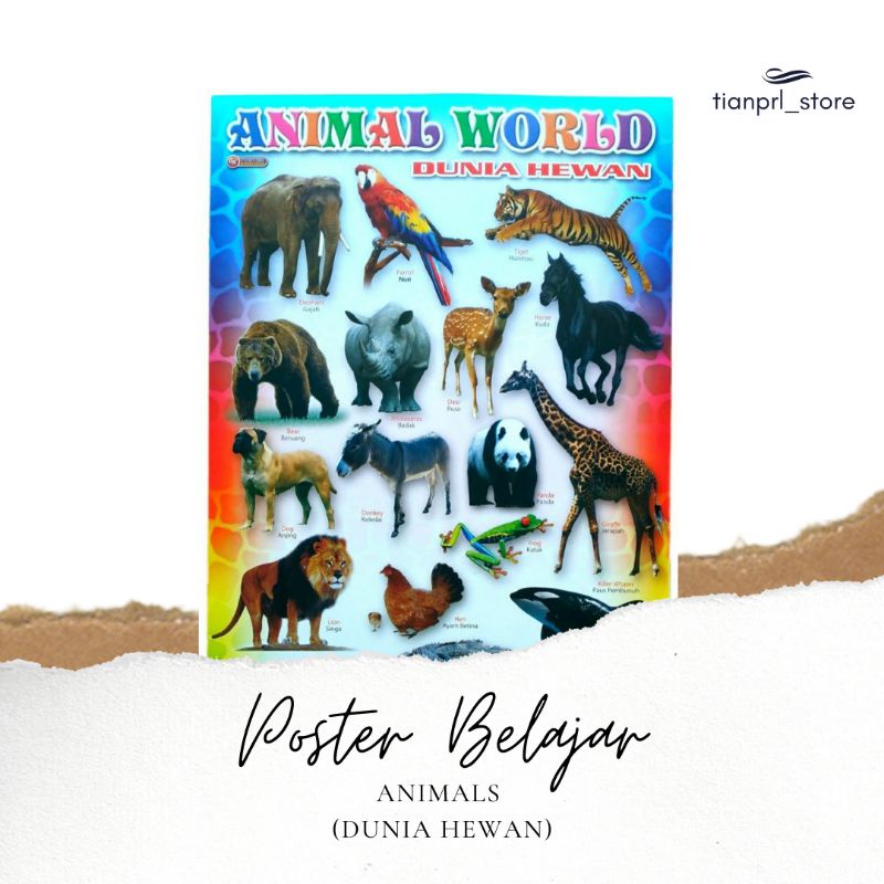 Jual POSTER BELAJAR MENGENAL ANIMAL WORLD | Shopee Indonesia