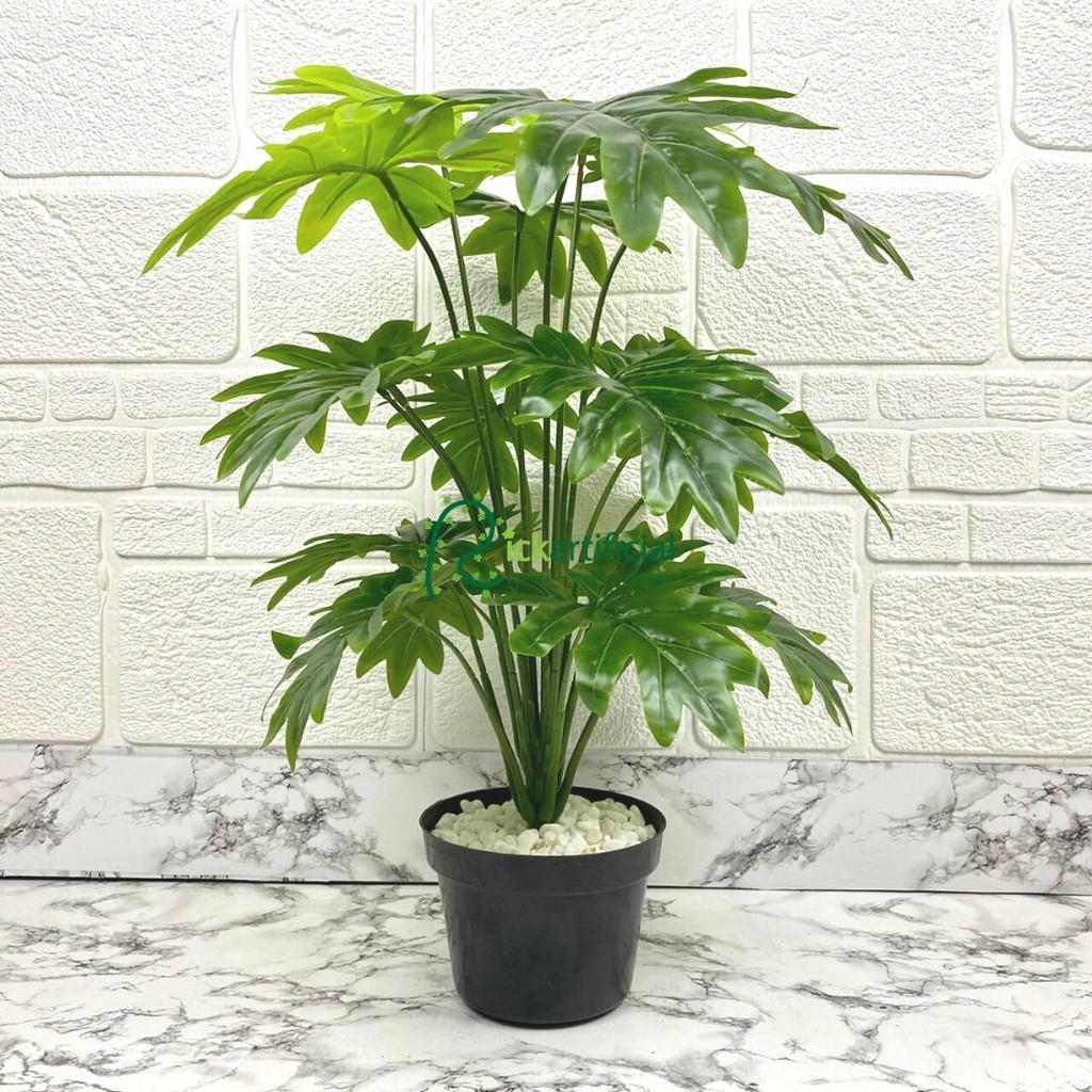 Jual Tanaman Hias Plastik Monstera Jari Philo Semi Latex Tanaman ...