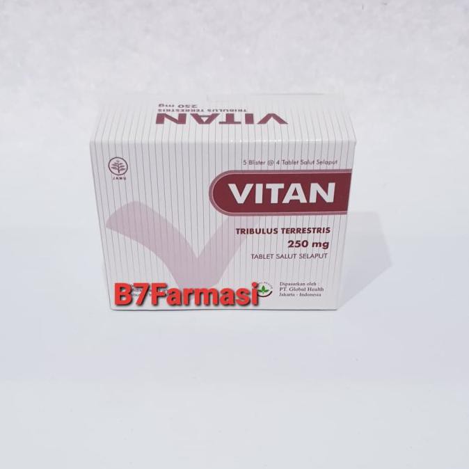 Jual VITAN TRIBULUS TERRESTRI 250MG 1 DUS @20 TABLET | Shopee Indonesia