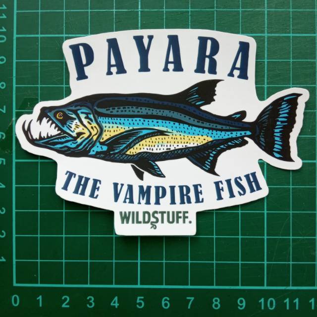 Jual Sticker Wildstuff - Payara Vampire Fish | Shopee Indonesia
