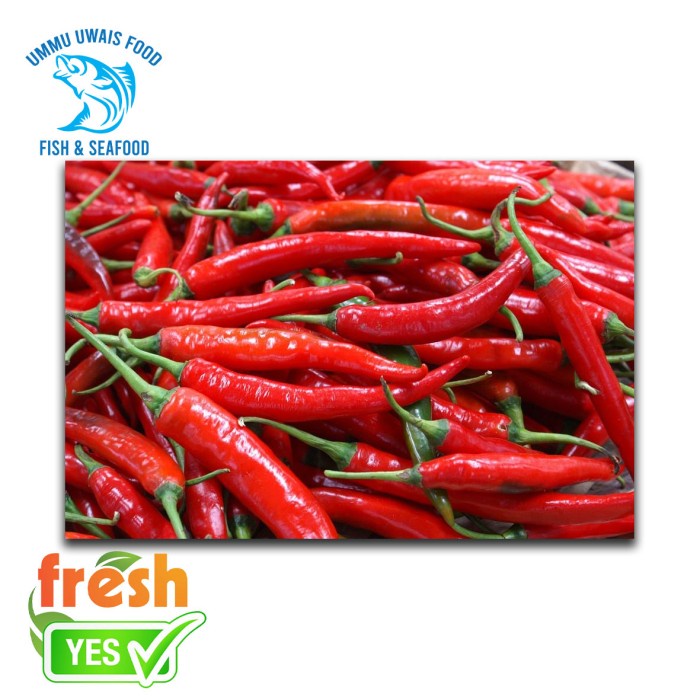 Jual Cabe Merah Besar Segar - 500 Gram | Shopee Indonesia