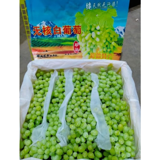 Jual Anggur Hijau Thompson 1000gr | Shopee Indonesia