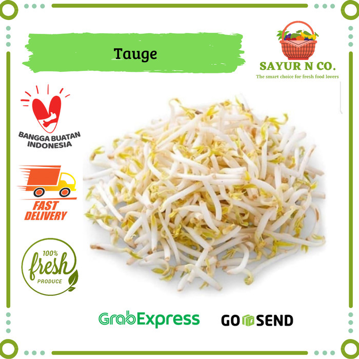 Jual Toge / Tauge Lokal FRESH | Sayur N Co Bekasi | Shopee Indonesia