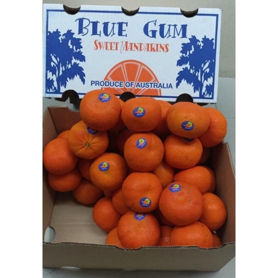 Jual Jeruk Royale Honey Murcot Australia Per Dus Fresh Import | Shopee ...