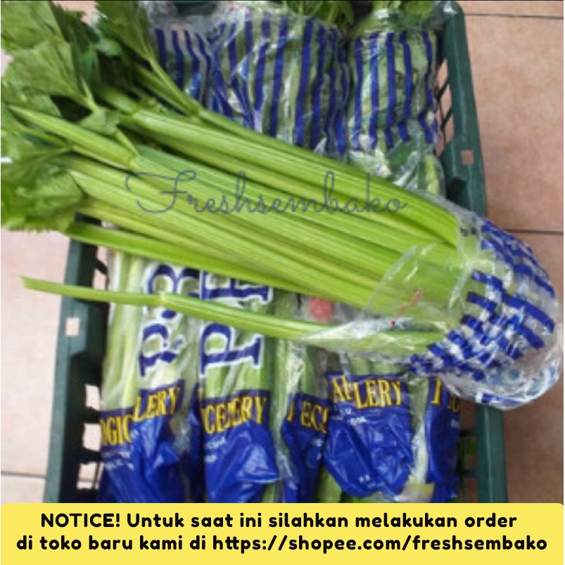 Jual Celery Stick Import READY - seledri stik impor (per kg) | Shopee ...