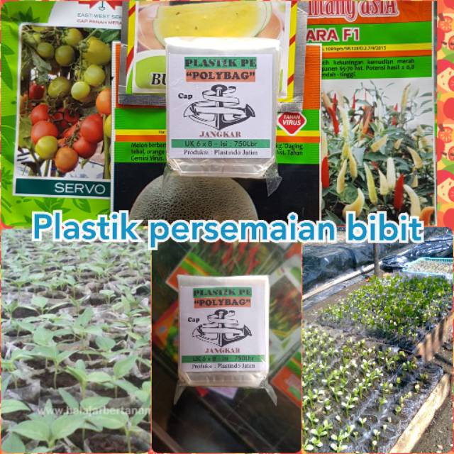 Jual Plastik cap JANGKAR Polybag kecil buat persemaian | Shopee Indonesia