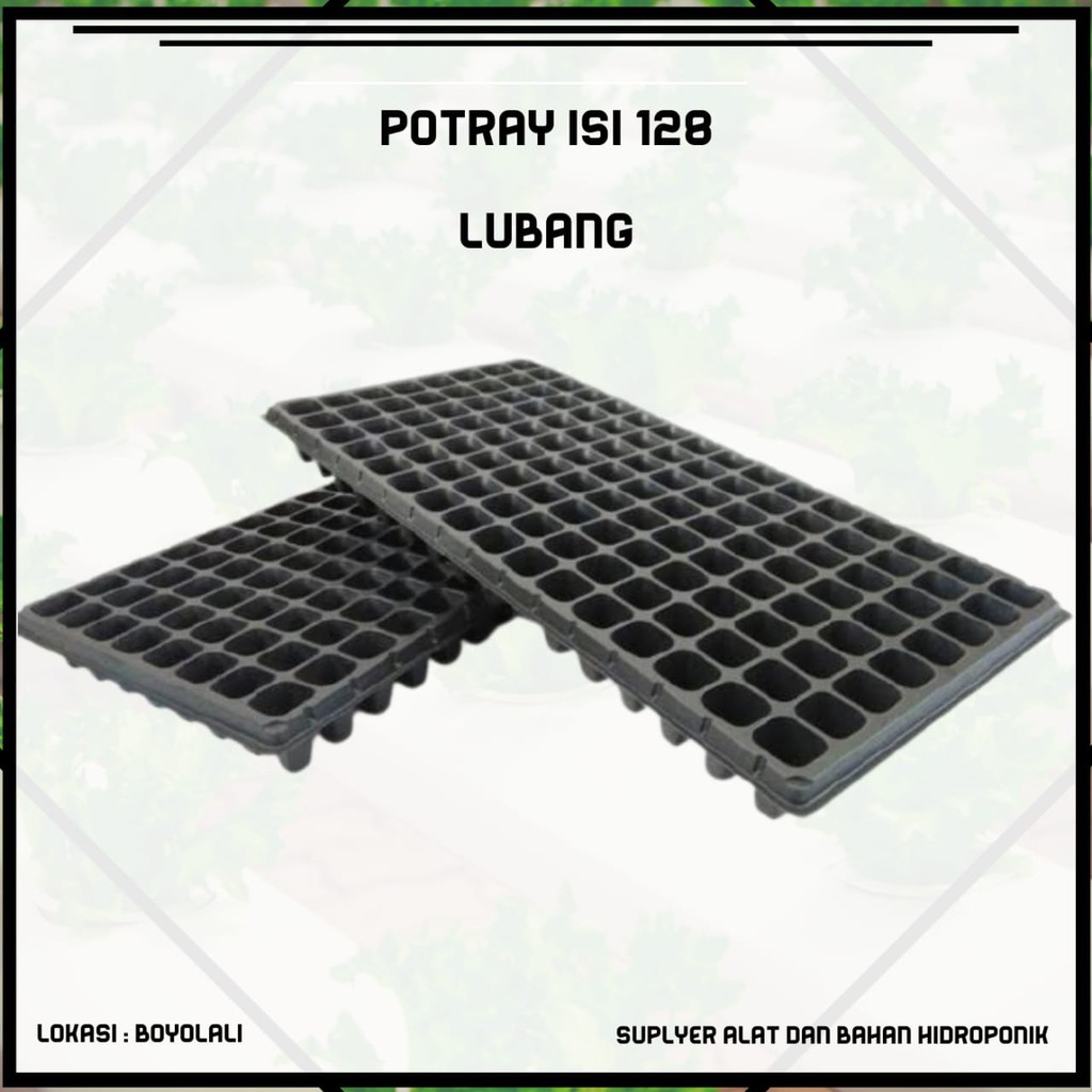 Jual POTRAY SEMAI 128 LUBANG / SEMAI HIDROPONIK / ALAT SEMAI | Shopee ...