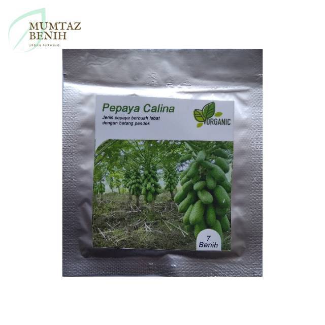 Jual Benih Pepaya Calina (Organic) | Shopee Indonesia