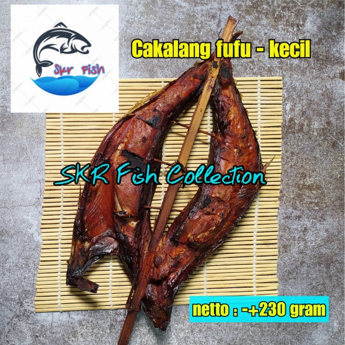Jual Cakalang fufu - kecil | Shopee Indonesia