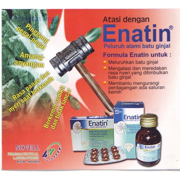 Jual ENATIN 1 BLISTER @9KAPSUL | Shopee Indonesia