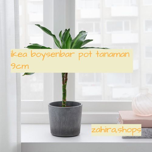 Jual Pot tanaman, dalam/luar ruang abu-abu muda 9cm, *boysenbar #zs ...