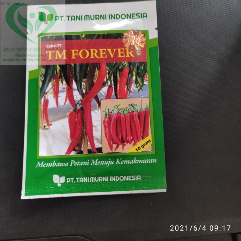Jual Benih Cabai besar hibrida F1 TM FOREVER isi 10gr dari TANI MURNI ...