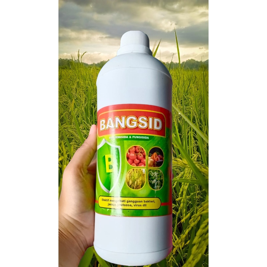 Jual BAKTERISIDA DAN FUNGISIDA 1LITER BANGSID PERTANIAN, PETERNAKAN ...
